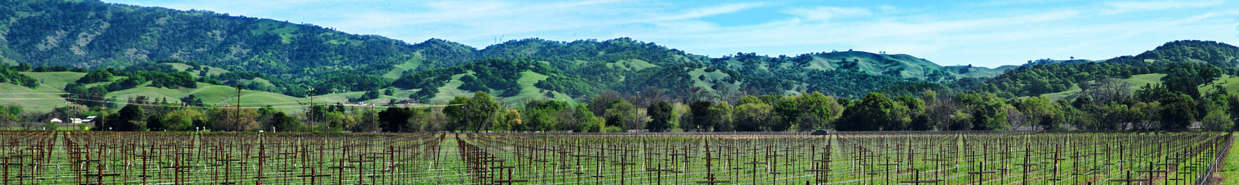 Bulky Items - Recology Sonoma Marin