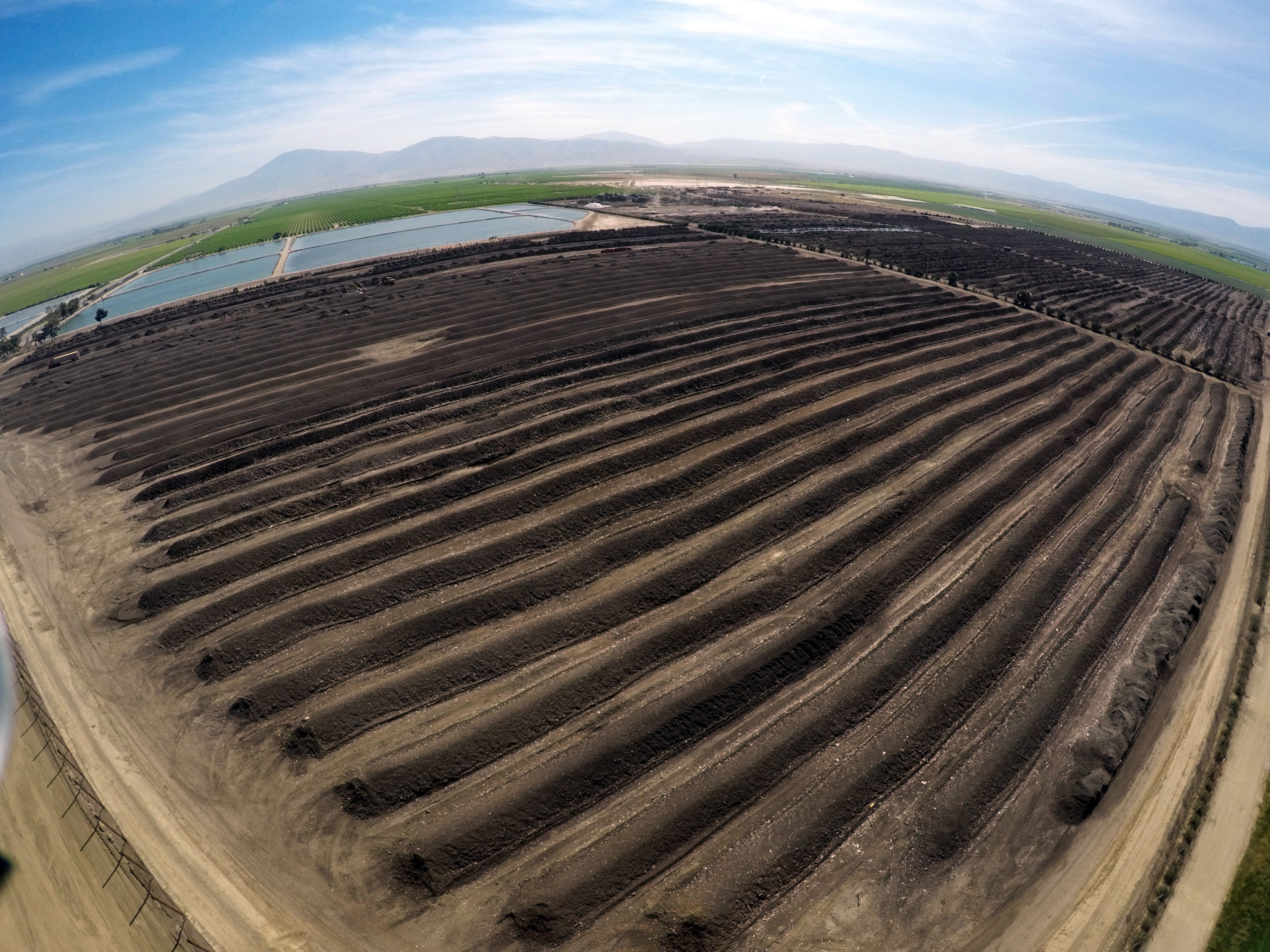 Recology - Compost, Recycling, & Landfill - Collection & Processing